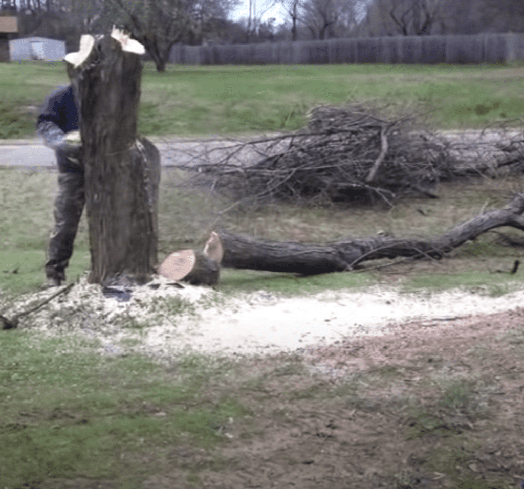 Husband Turns Tree Stump Into Eye Catching Centerpiece