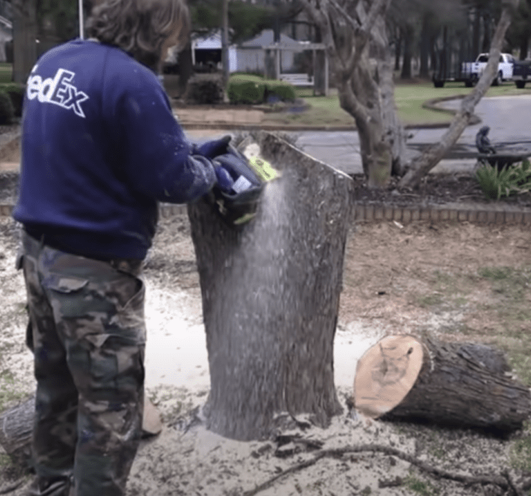 Husband Turns Tree Stump Into Eye Catching Centerpiece