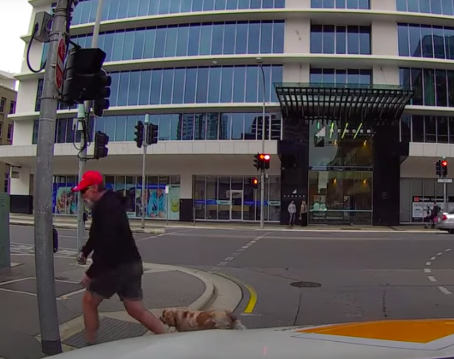 Angry Pedestrian Comes Face To Face With Karma