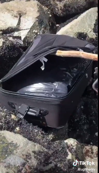 Teens find body in a suitcase after using an adventure app that’s ...