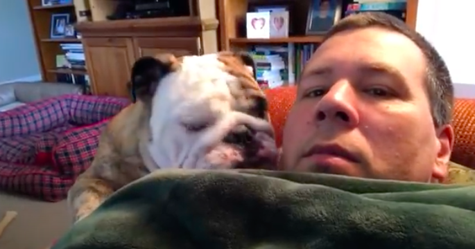 Bulldog throws adorable tantrum after being told he can't lay on top of ...
