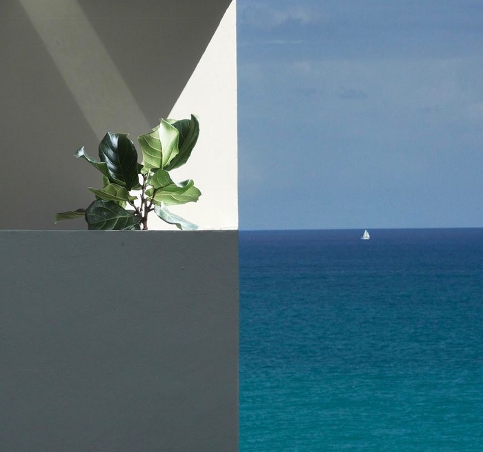 60 Photos Of Things That Lined Up Perfectly