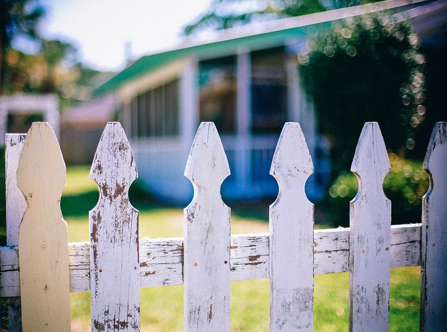 Hilarious “Nosy Neighbor” Is Caught Looking Over Fence