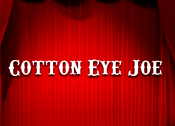 10 cowgirls show everyone how it's done with 'Cotton Eye Joe' dance