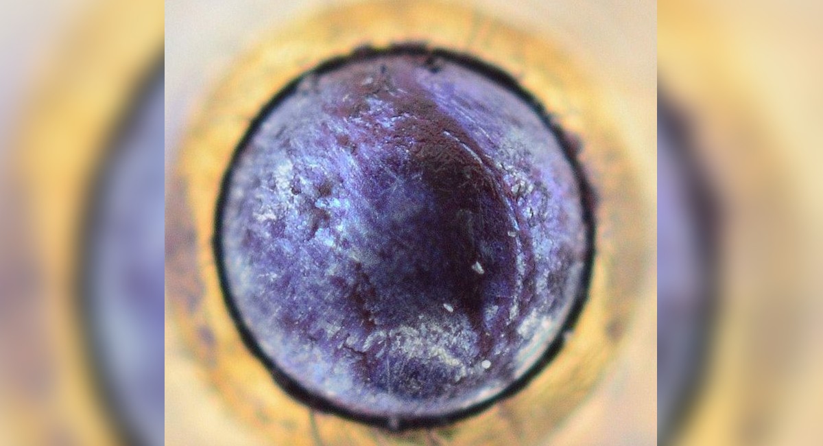 30 Normal things that look out of this world under a microscope