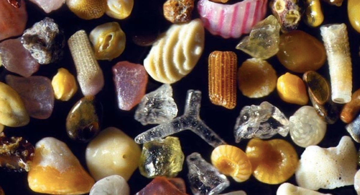 30 Normal things that look out of this world under a microscope