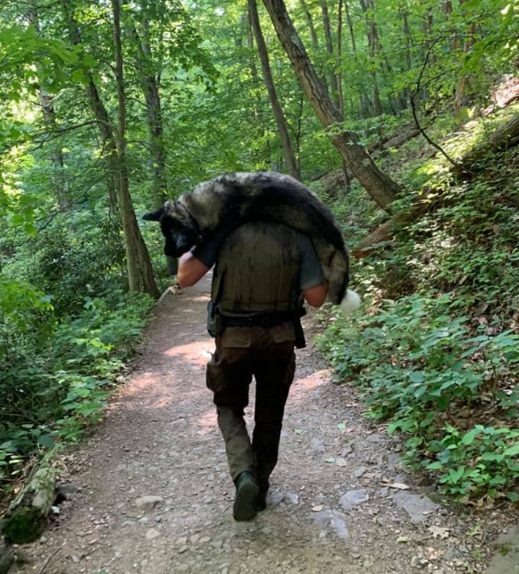 Park ranger hoists suffering dog on his shoulders for miles to tend to ...