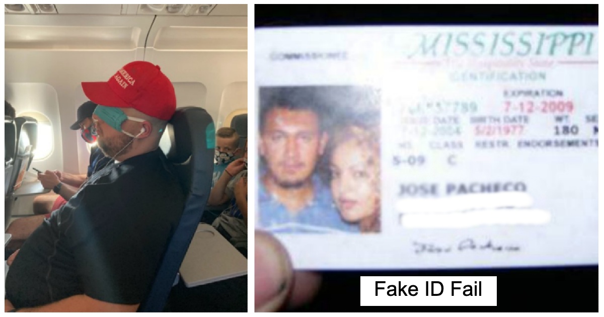 50 examples of human stupidity at its finest