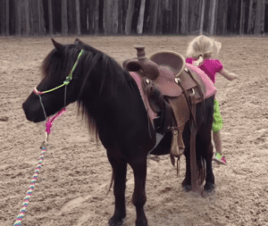 Young Girl Shows Her Trick Riding Skills