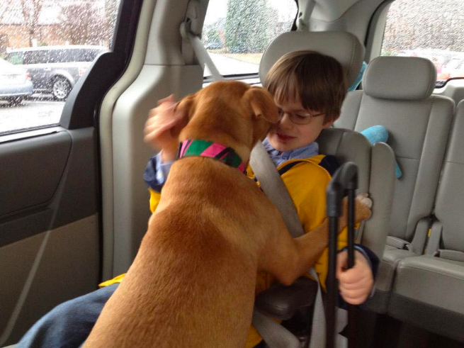 Boy with autism hadn’t spoken much until he met neglected rescue dog
