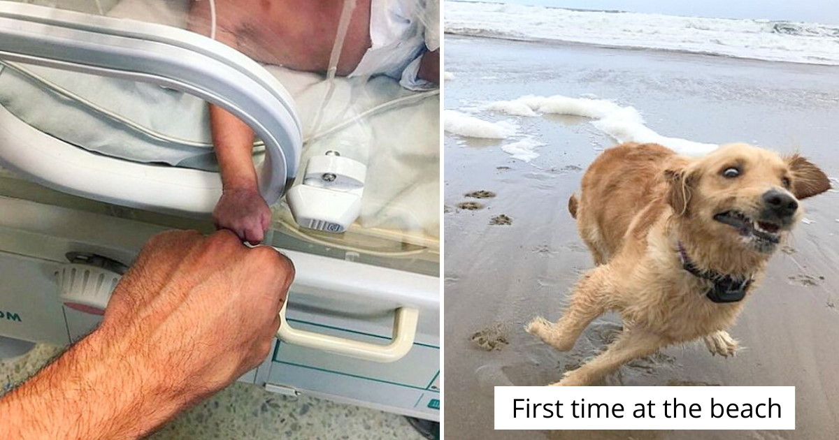 57 Heart Tugging Photos Full Of Emotion