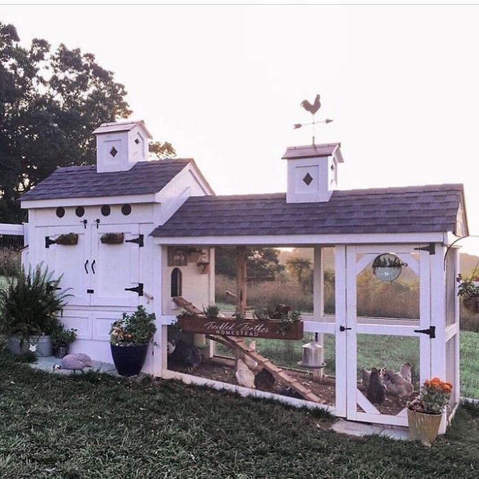 35 Amazing chicken coops that deserve a design award