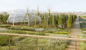 Biggest urban farm in the entire world is finally bearing fruit