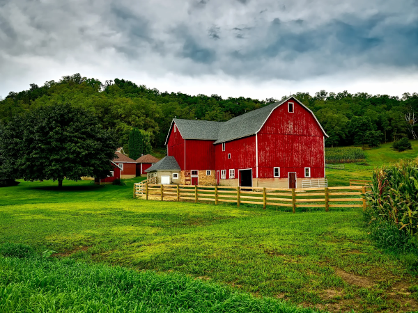 Biggest urban farm in the entire world is finally bearing fruit