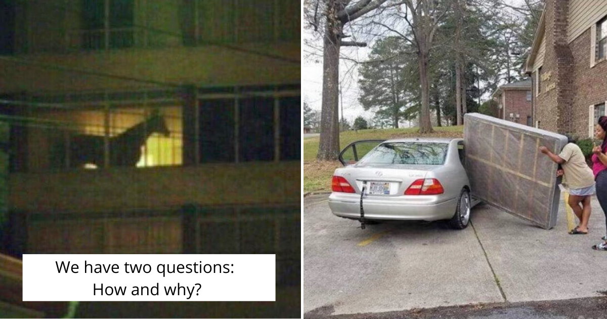 70 Pictures So Strange We Couldn’t Explain If We Tried