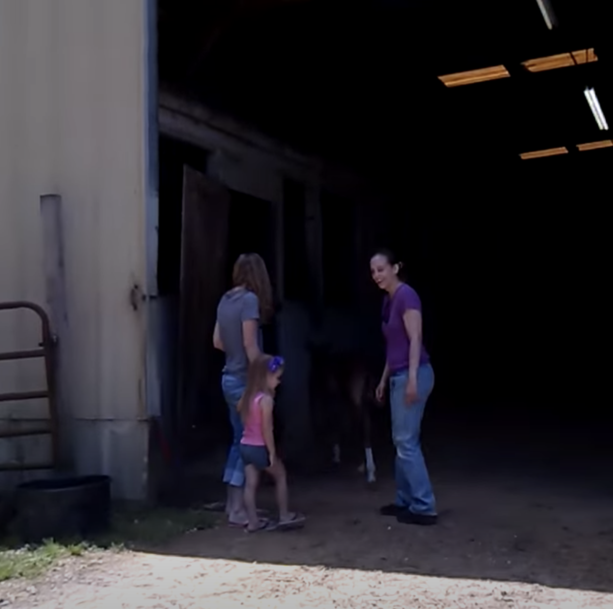 Mama Horse Comes Running For Foal Cry