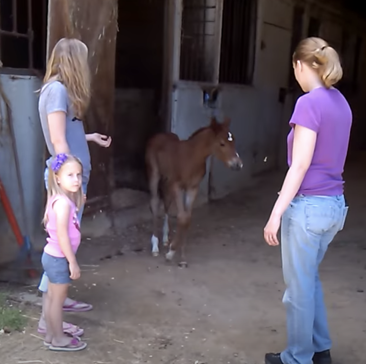 Mama Horse Comes Running For Foal Cry