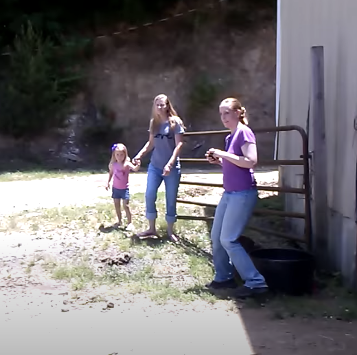 Mama Horse Comes Running For Foal Cry