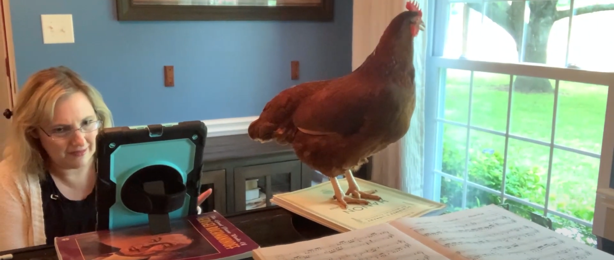 Chicken steals the show singing Disney classics when woman starts to play