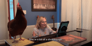 Chicken steals the show singing Disney classics when woman starts to play