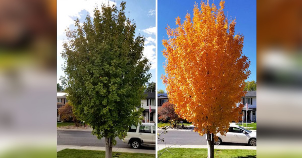 50 Photos that show that most intriguing changes over time