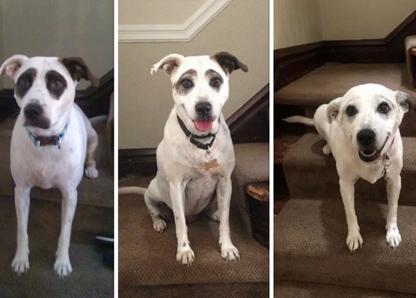 66 Things Changing Dramatically Over Time