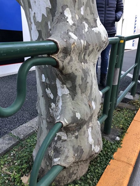 66 Things Changing Dramatically Over Time