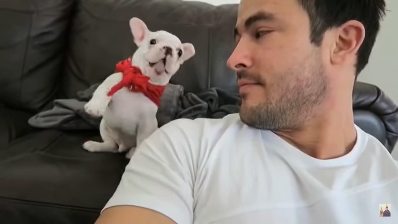 Funny modest puppy gets shy when dad compliments him