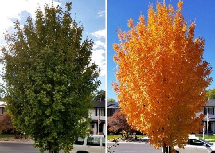 66 Things Changing Dramatically Over Time