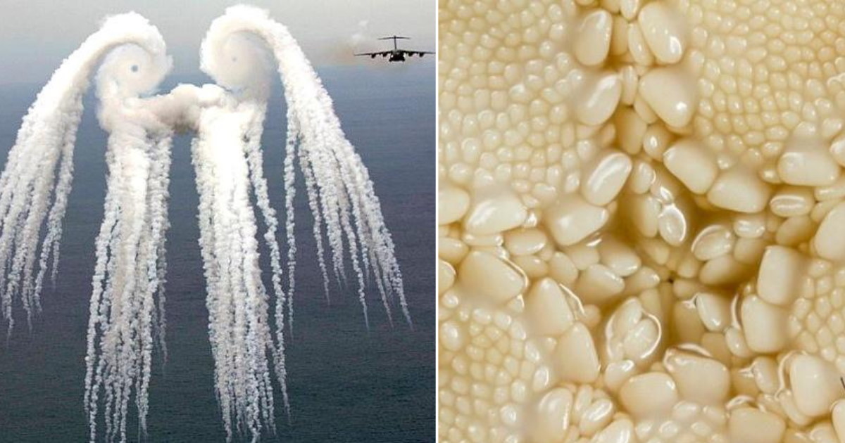 54 fascinating photos that show just how surprising real life is