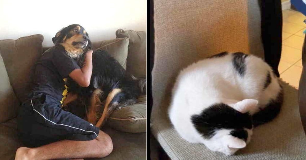 70 Pictures That Cause A Serious Double Take