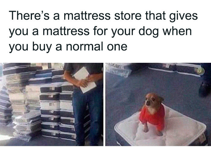 40 Clever people who will have no trouble in life because of their ...