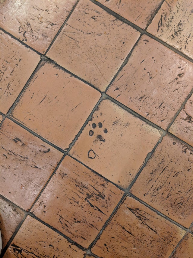 40 Silly And Awkward Situations We Wouldn’t Wish On Anyone