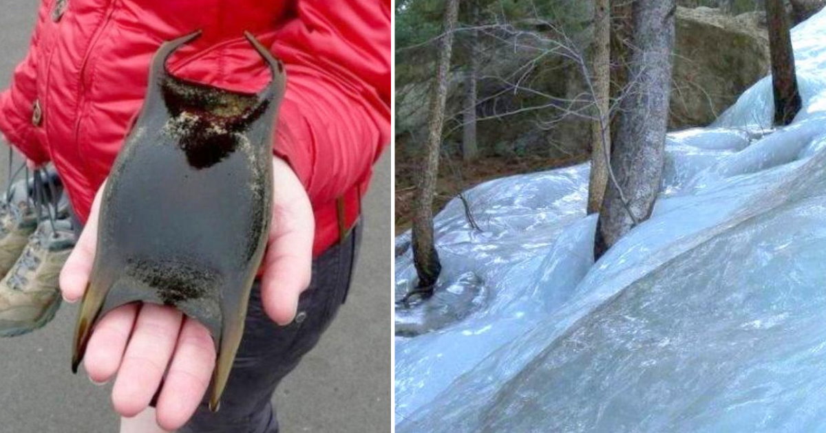 50 Rare Pictures Showing We Still Love In A Wondrous World