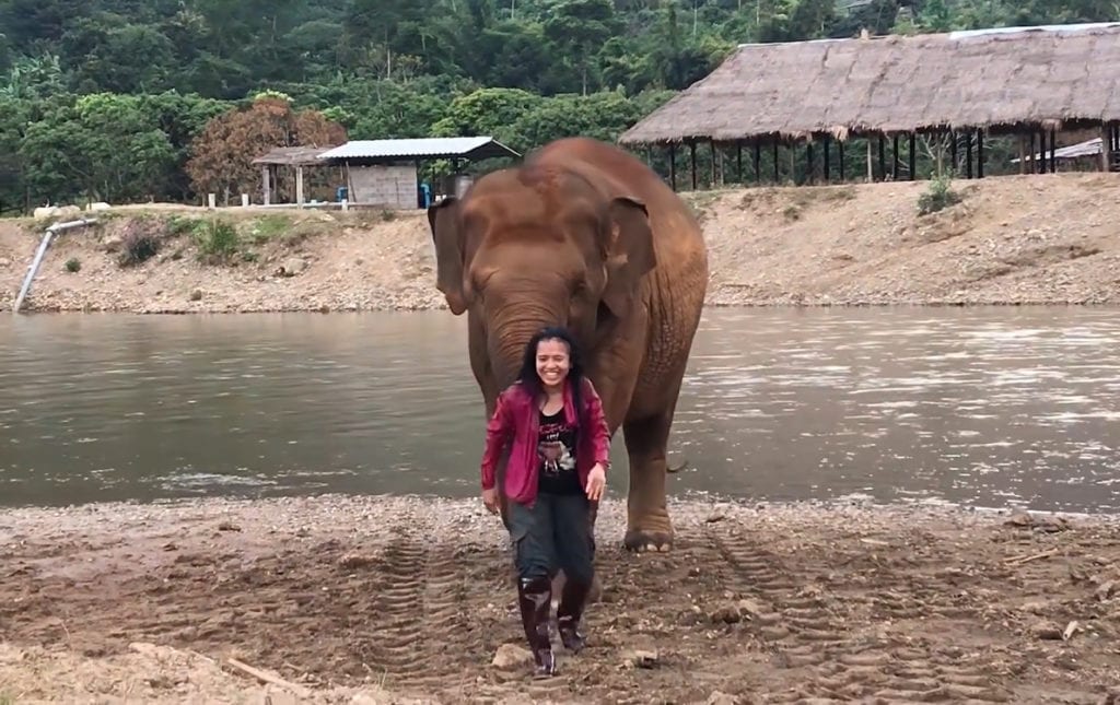 Protective elephant helps favorite friend bathe