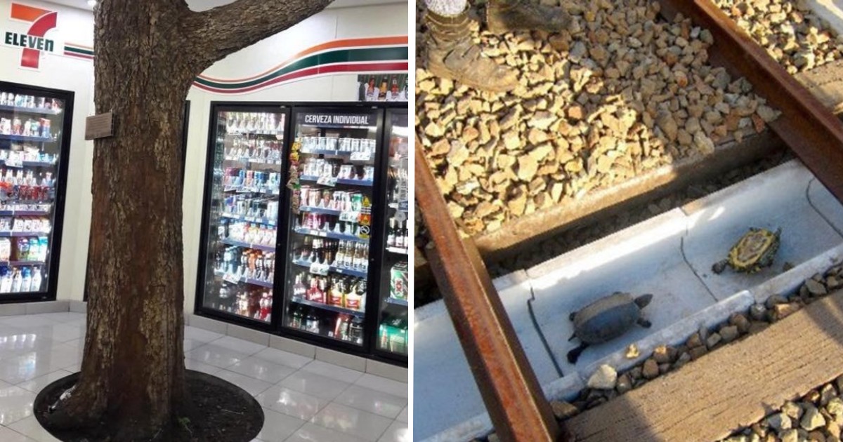 30 designers who brilliantly respect nature in their work