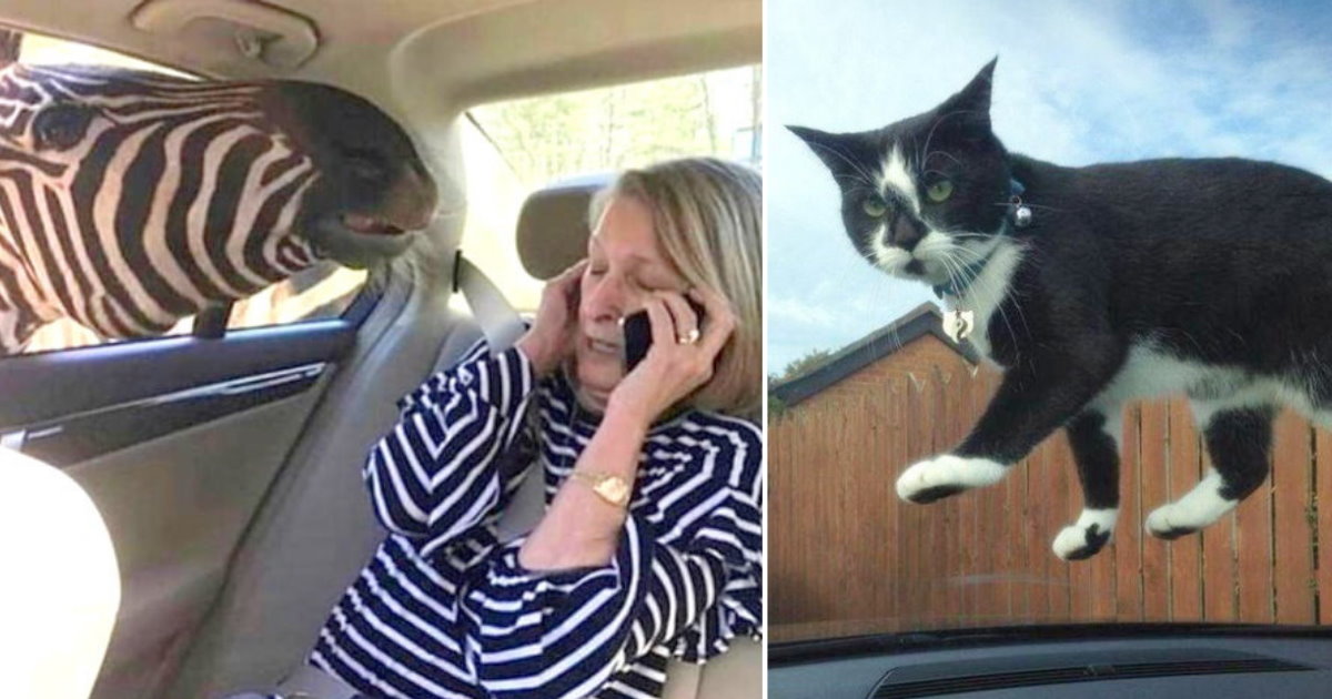 64 Entertaining Photos That May Baffle Your Eyes