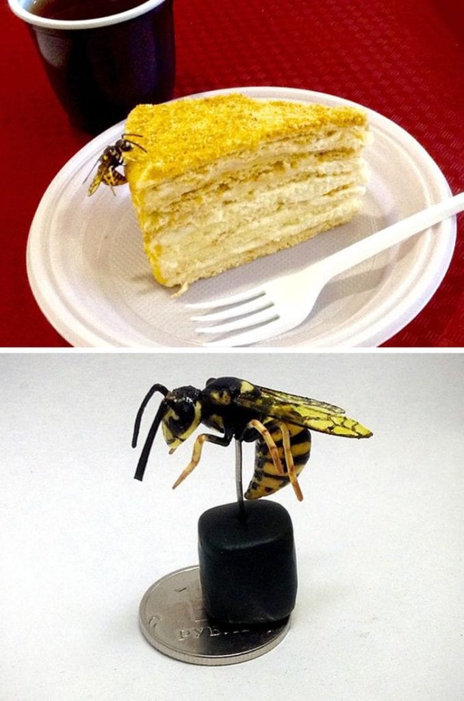 70 Confusing Photos You’ll Have To Look At More Than Once