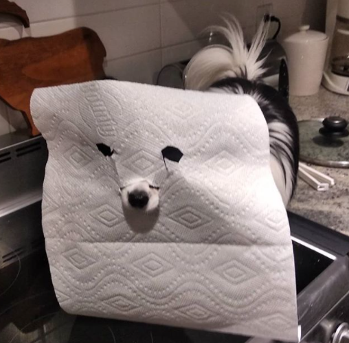 50 Halloween costume fails that made us cringe