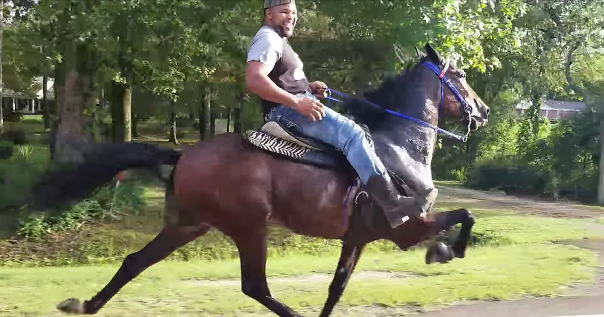Man hops on horse’s back. Nabs 1.9 million views when it takes off running