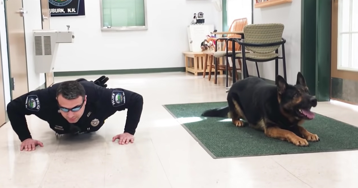 K-9 leads police crew through push-up challenge
