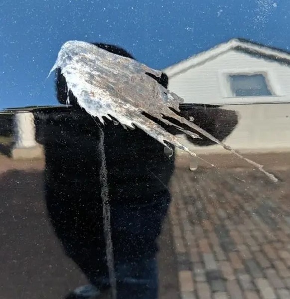 60 Curious Pictures That Look Similar To Something Else