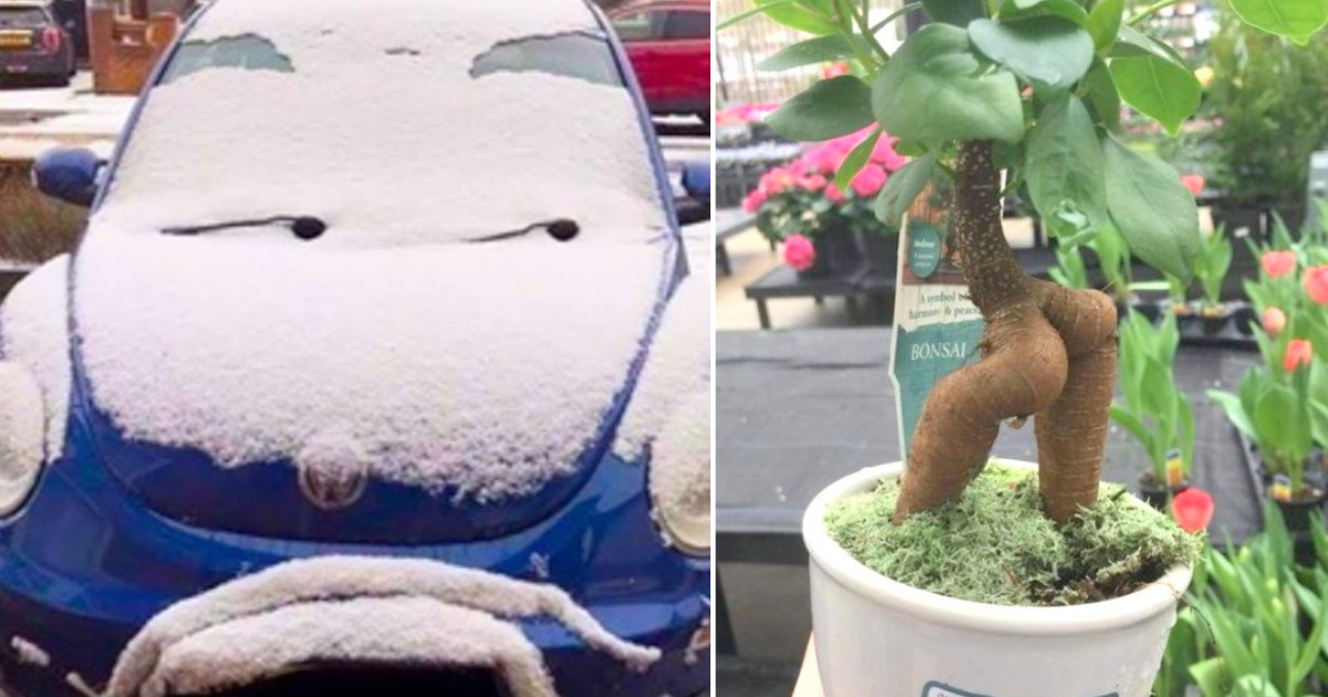 60 Curious Pictures That Look Similar To Something Else