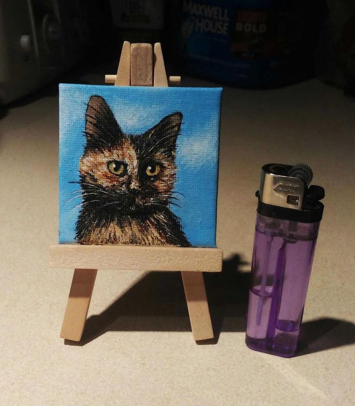 31 Hilarious People Who Took Their Hobbies To A New Level