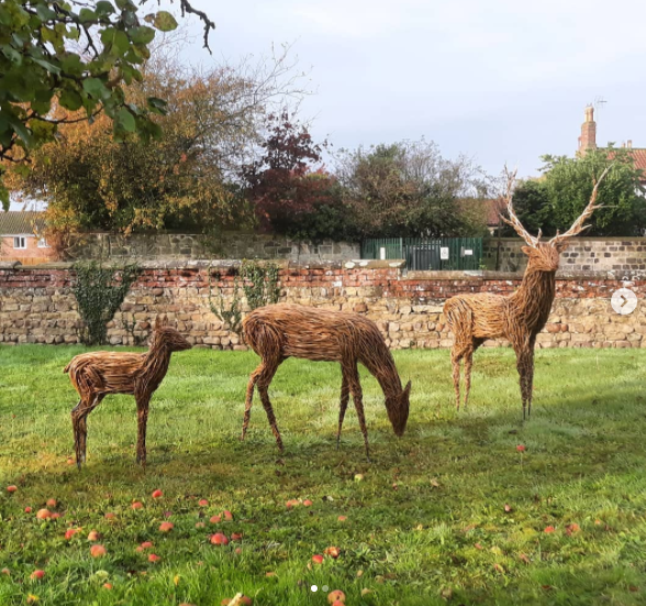 Artist collects willow reeds then turns them into incredibly detailed ...