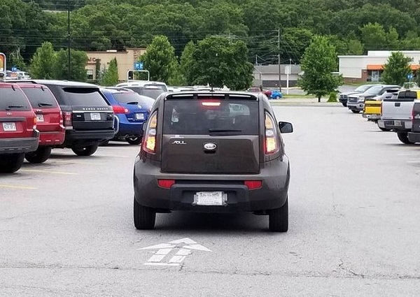 38 People Who Are Going To Live By Their Own Set Of Rules