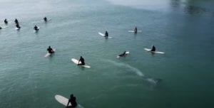 Surfers have no clue a massive whale is beneath them until it breaches ...