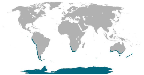 25 strange maps people shared online that will definitely change your ...