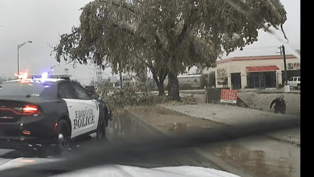 Officer hilariously loses battle against fallen tree limb