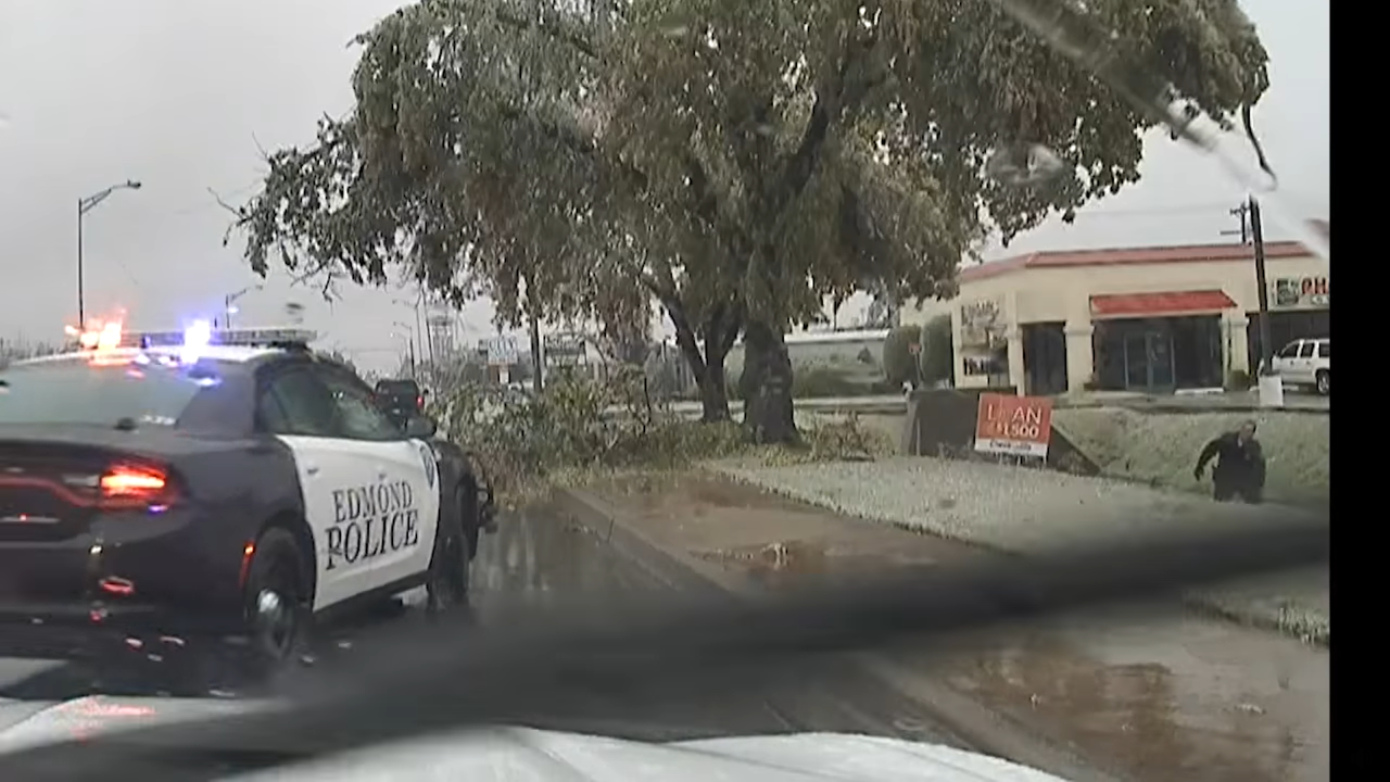 Officer hilariously loses battle against fallen tree limb
